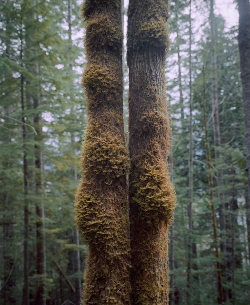 About Walking Softer